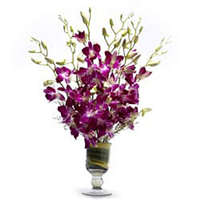 Buy/Send Hello Beautiful Lady For CORP Online- FNP