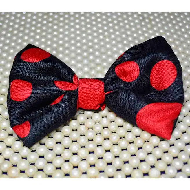 Buy/Send Red Black Polka Dot Bow Online- FNP
