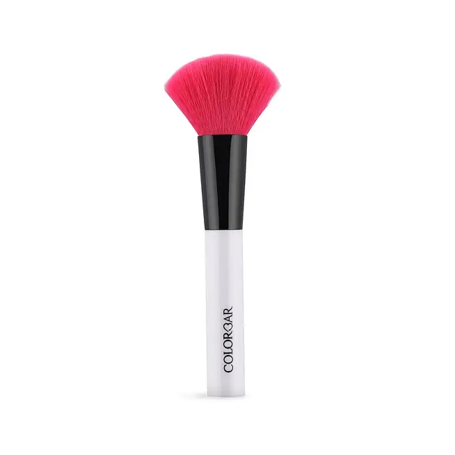Buy/Send Colorbar Keep Blushing Blush Brush Online- FNP