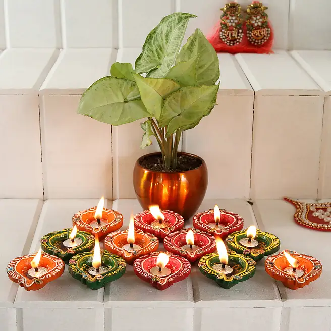 Buy/Send White Pothos Plant & Assorted Golden Diyas Online- FNP