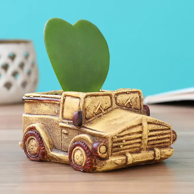 Buy/Send Hoya Plant In Multicolor Jeep Pot Online- FNP