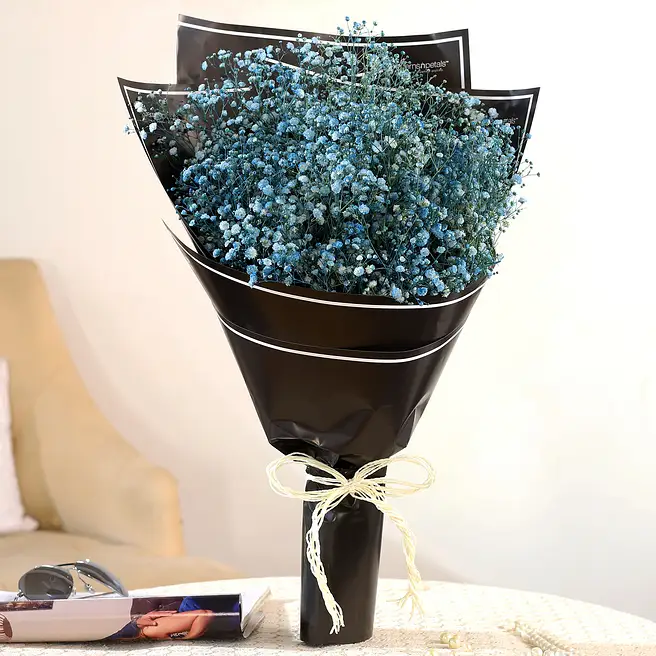 Buy/Send Blue Sprayed Gypso Bundle Tied With White Raffia Online- FNP