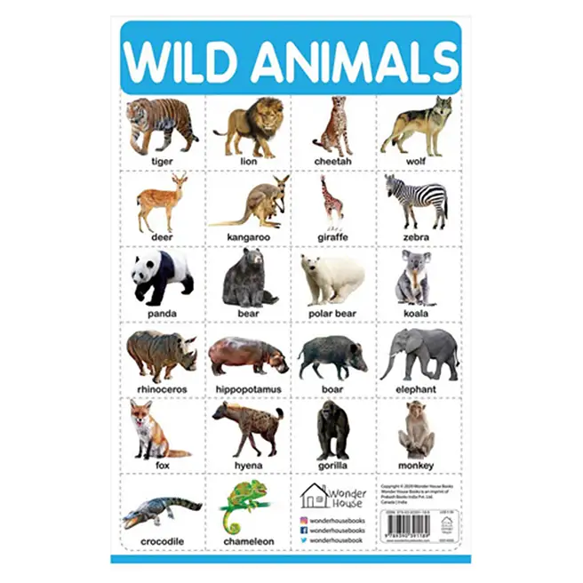 Buy/Send My First Early Learning Educational Poster- Wild Animals ...