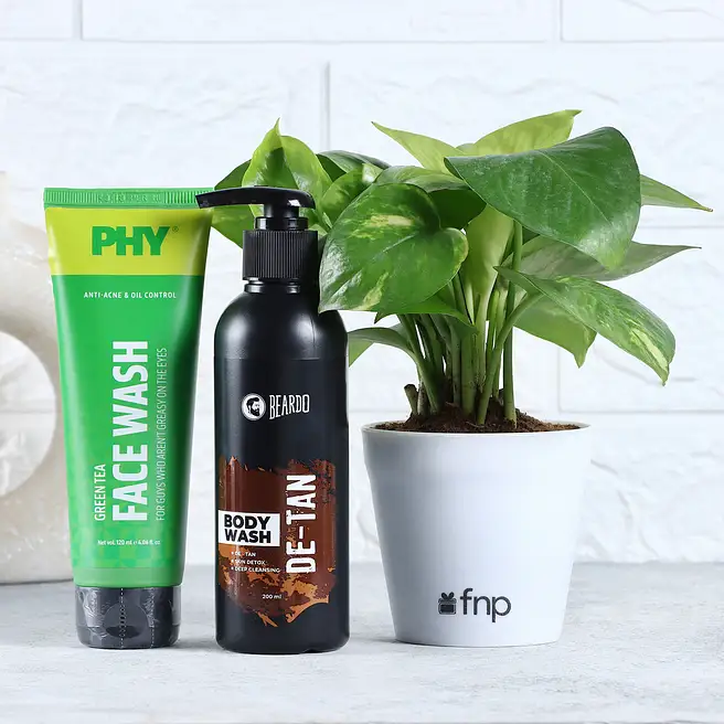 Buy/Send Money Plant & Self Care Goodies For Him Online- FNP