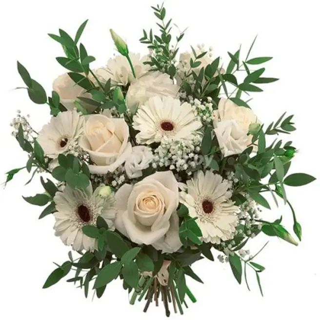 Pure Love Gerbera Bouquet nepal | Gift Pure Love Gerbera Bouquet- FNP