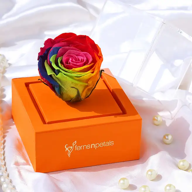 Rainbow Forever Rose In Orange Box saudi-arabia | Gift Rainbow Forever ...