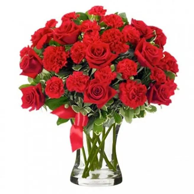 Red Alert singapore | Gift Red Alert- FNP