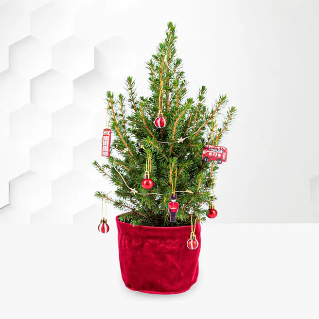 London Letterbox Christmas Tree uk | Gift London Letterbox Christmas ...
