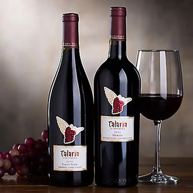 Talaria Sonoma Red Wine Duet usa | Gift Talaria Sonoma Red Wine Duet- FNP